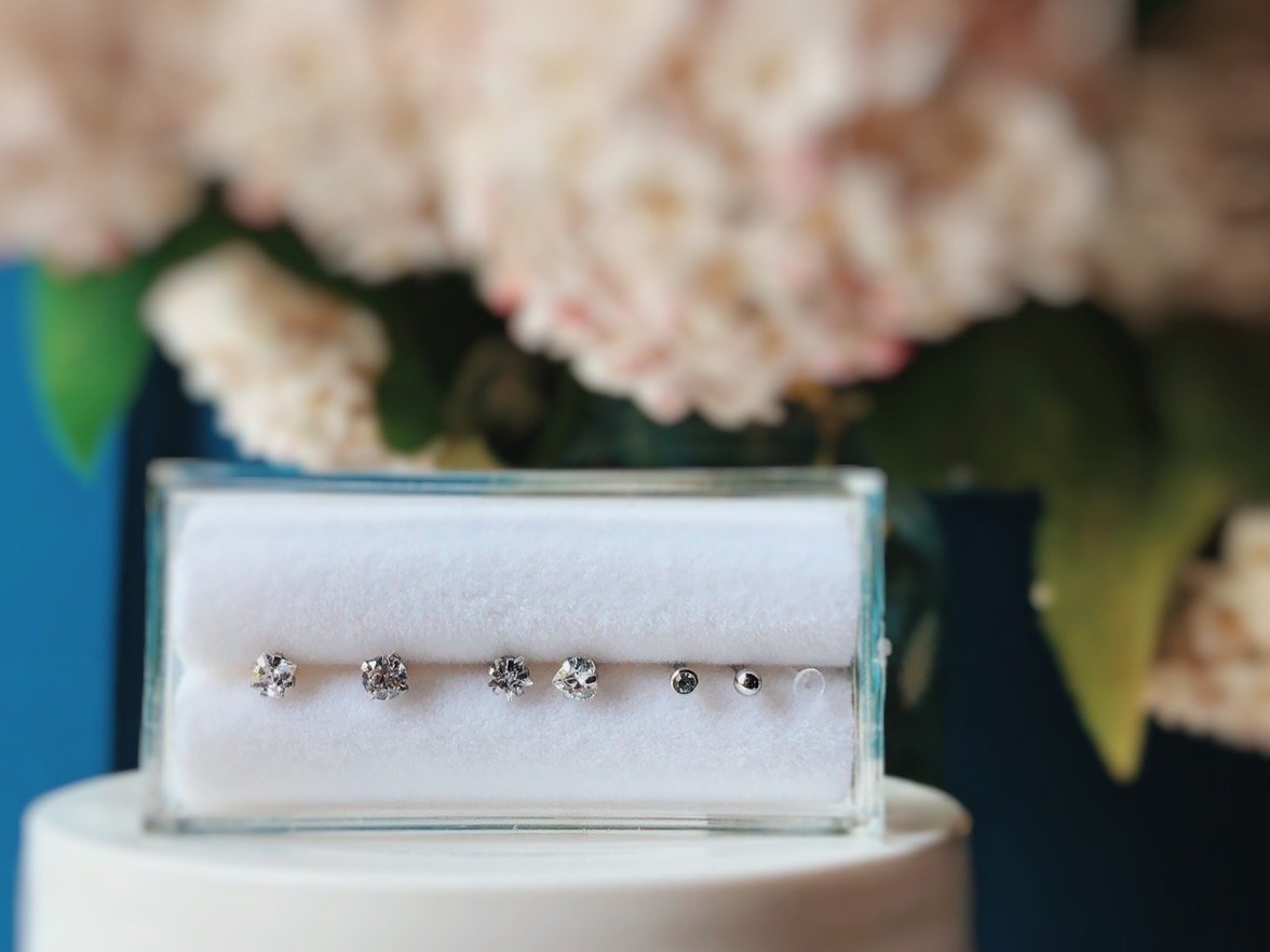 Nose Ring Variety Pack at Andre Riley blog